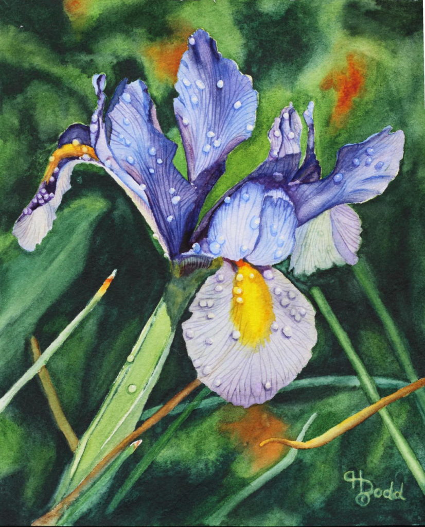 Heather Dodd – Lethbridge Artists Club